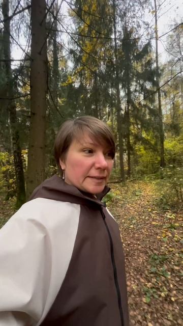 Японская практик «купание лесом» — смотреть короткие видео (Shorts) в хорошем качестве и ...