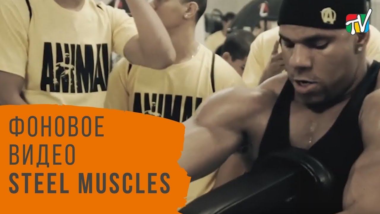 Фоновое видео. Трейлер канала "Steel Muscles"