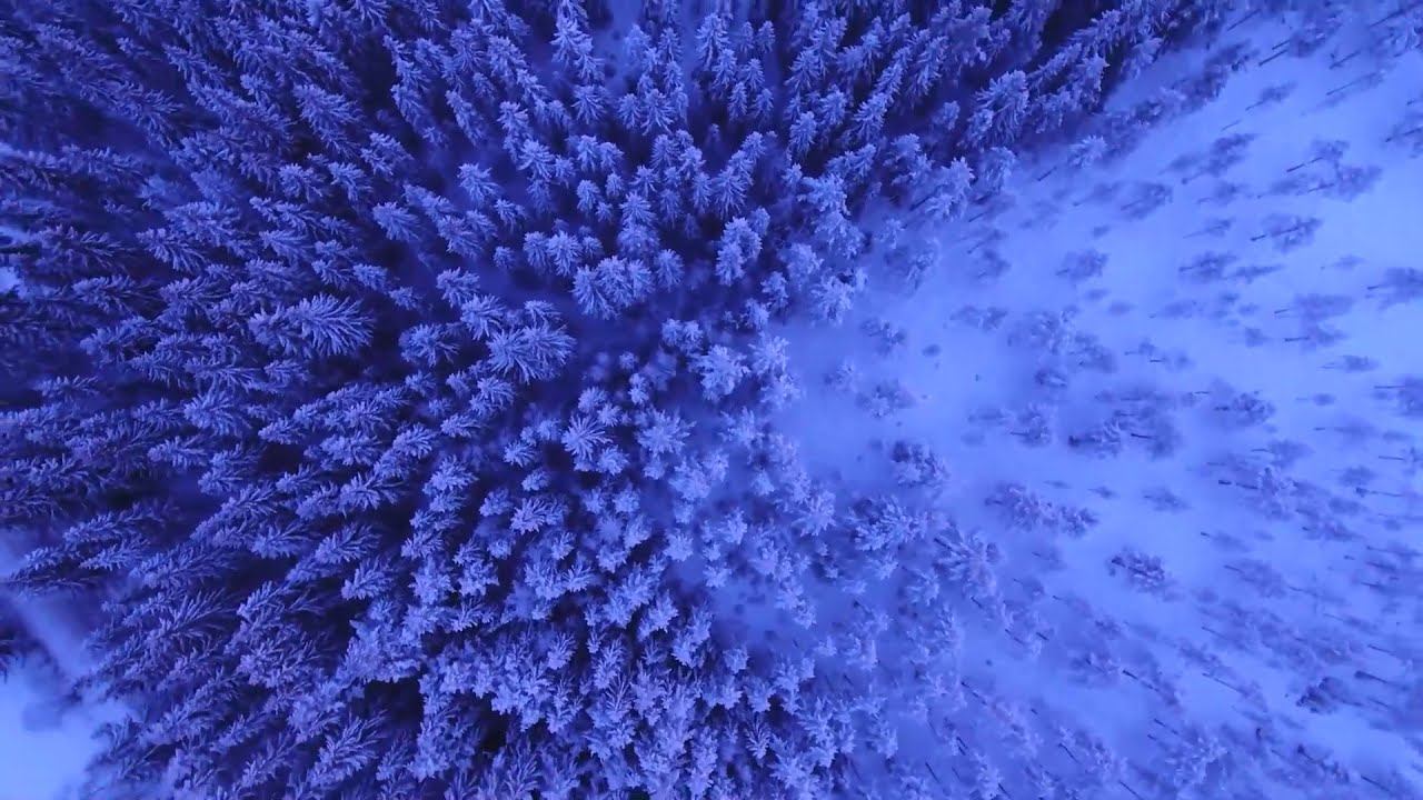 Фоновое видео. Трейлер канала "Winter Coming"