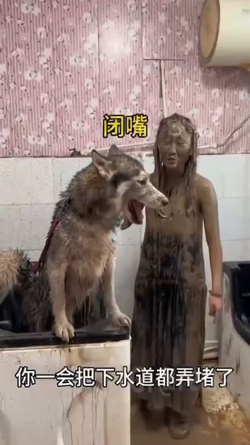 И так каждый день?)