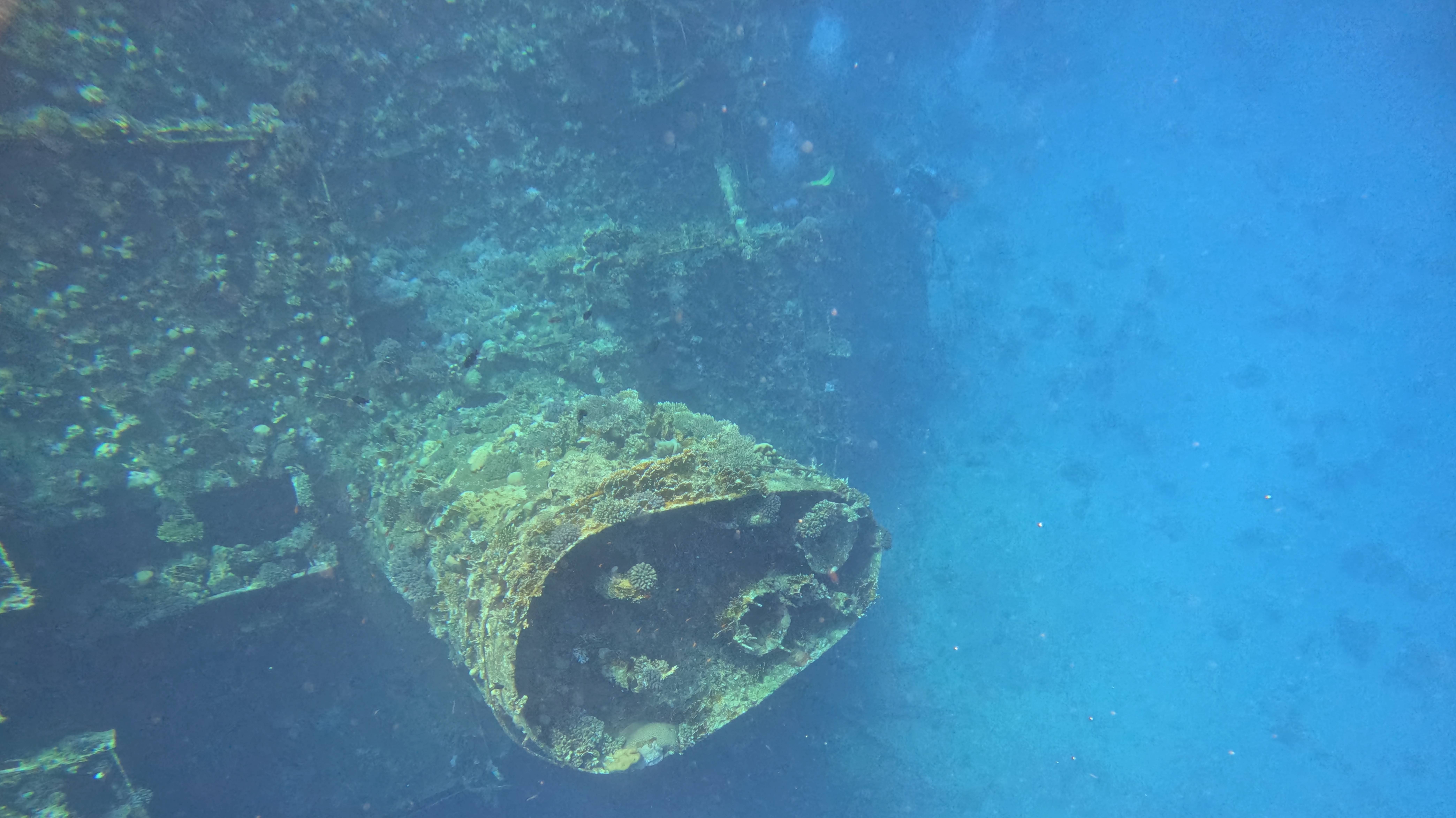 Абу нухас, Ghiannis d, wreck, рек дайвинг, дайвинг в Хургаде, дайвинг в Египте