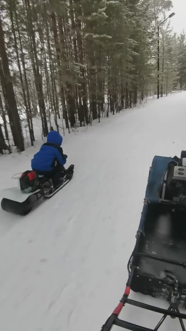 ДЕТСКИЙ СНЕГОХОД