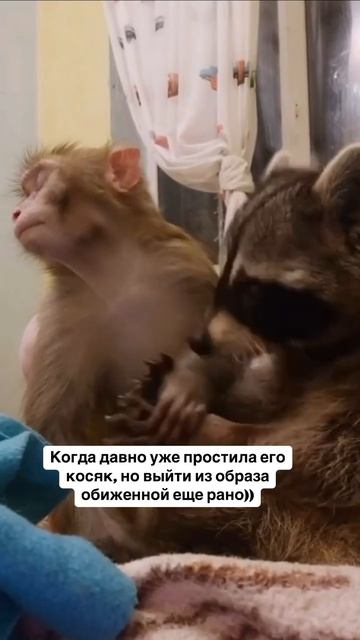 Счастливы вместе