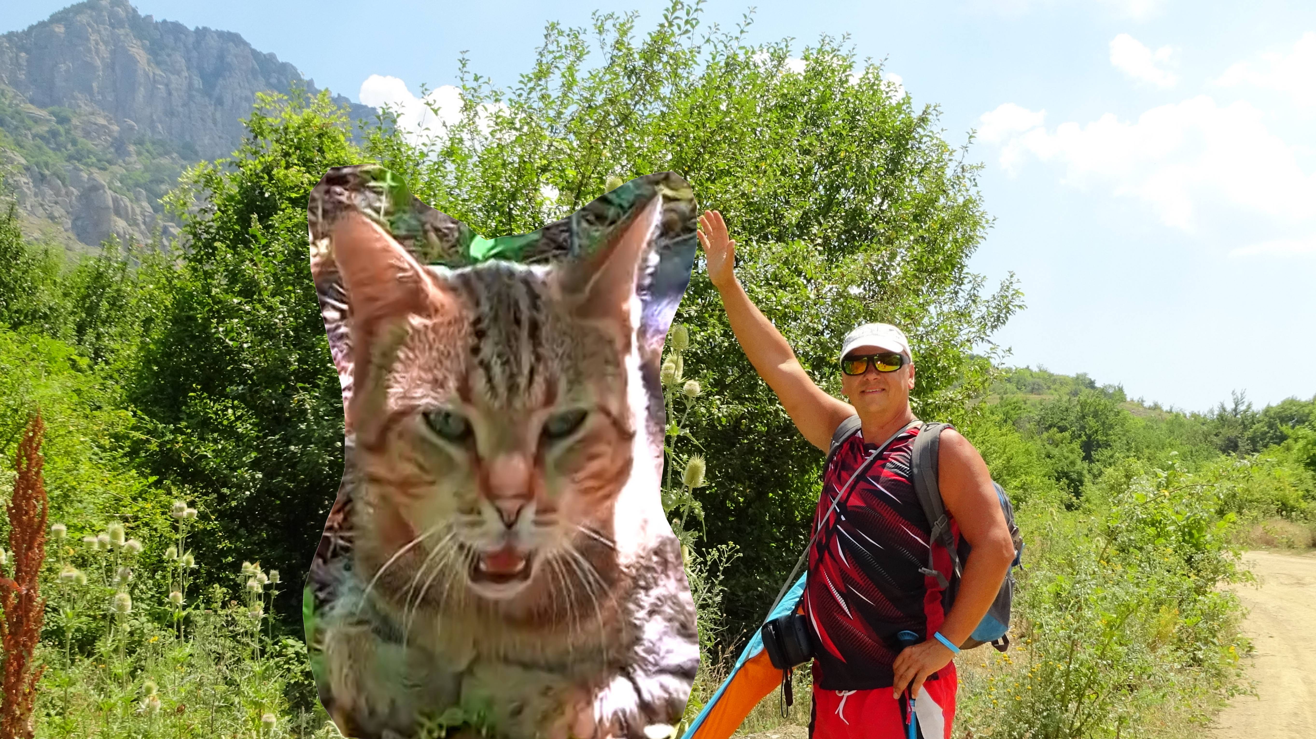 Лесной кот  живёт на склонах горы Демерджи.