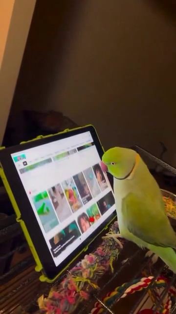 опытный юзер