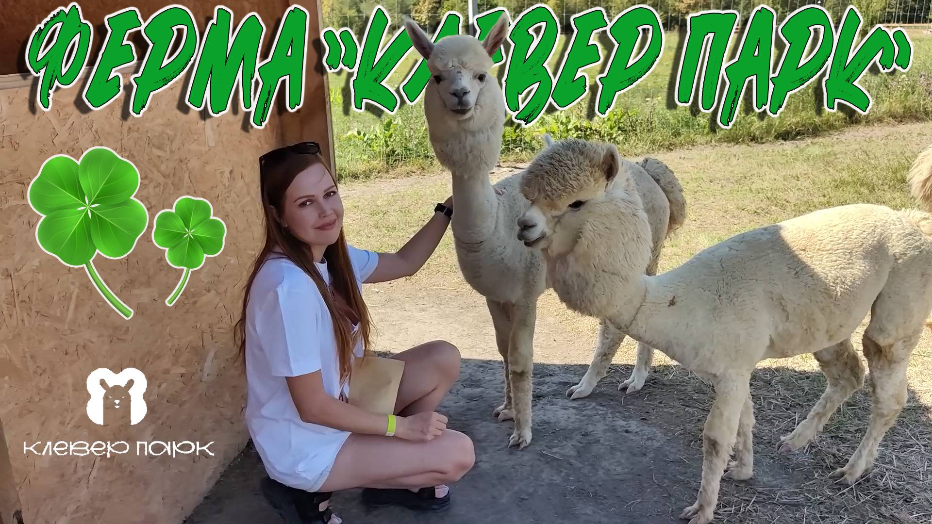 ФЕРМА "КЛЕВЕР ПАРК" В КРАСНОДАРСКОМ КРАЕ