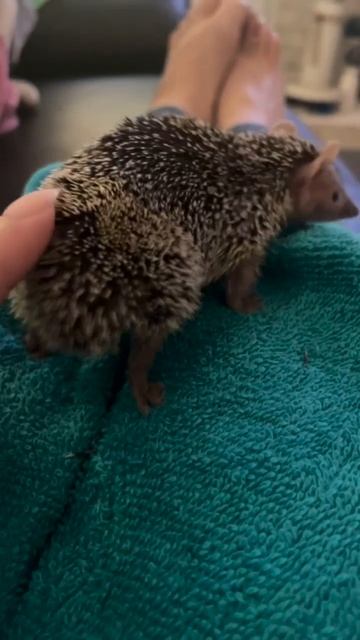 Двигай телом