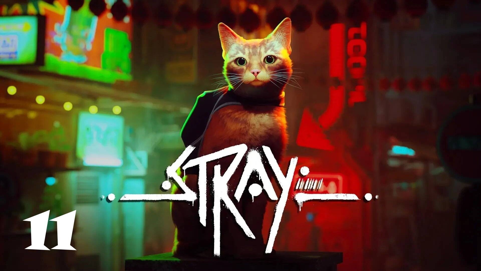 Завод NECO 📟 Stray 🐈 11