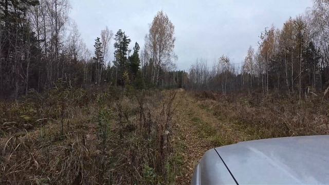 Шины для Патриота