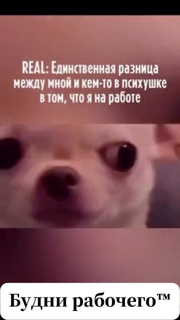 Смотрим ролики | Будни рабочего™