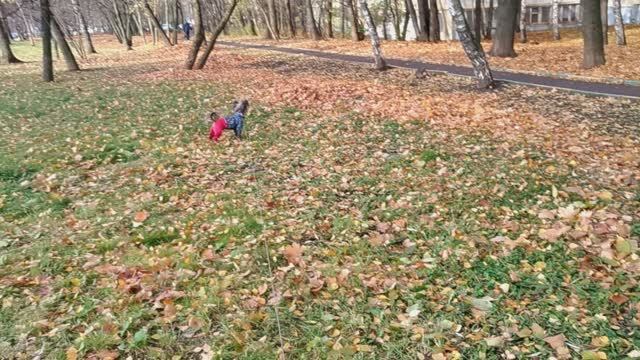 Poale Ell Adam на прогулке