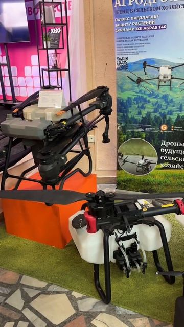 Форум «ИТ трансформация 2025: профессионалы цифрового будущего» в АлтГУ