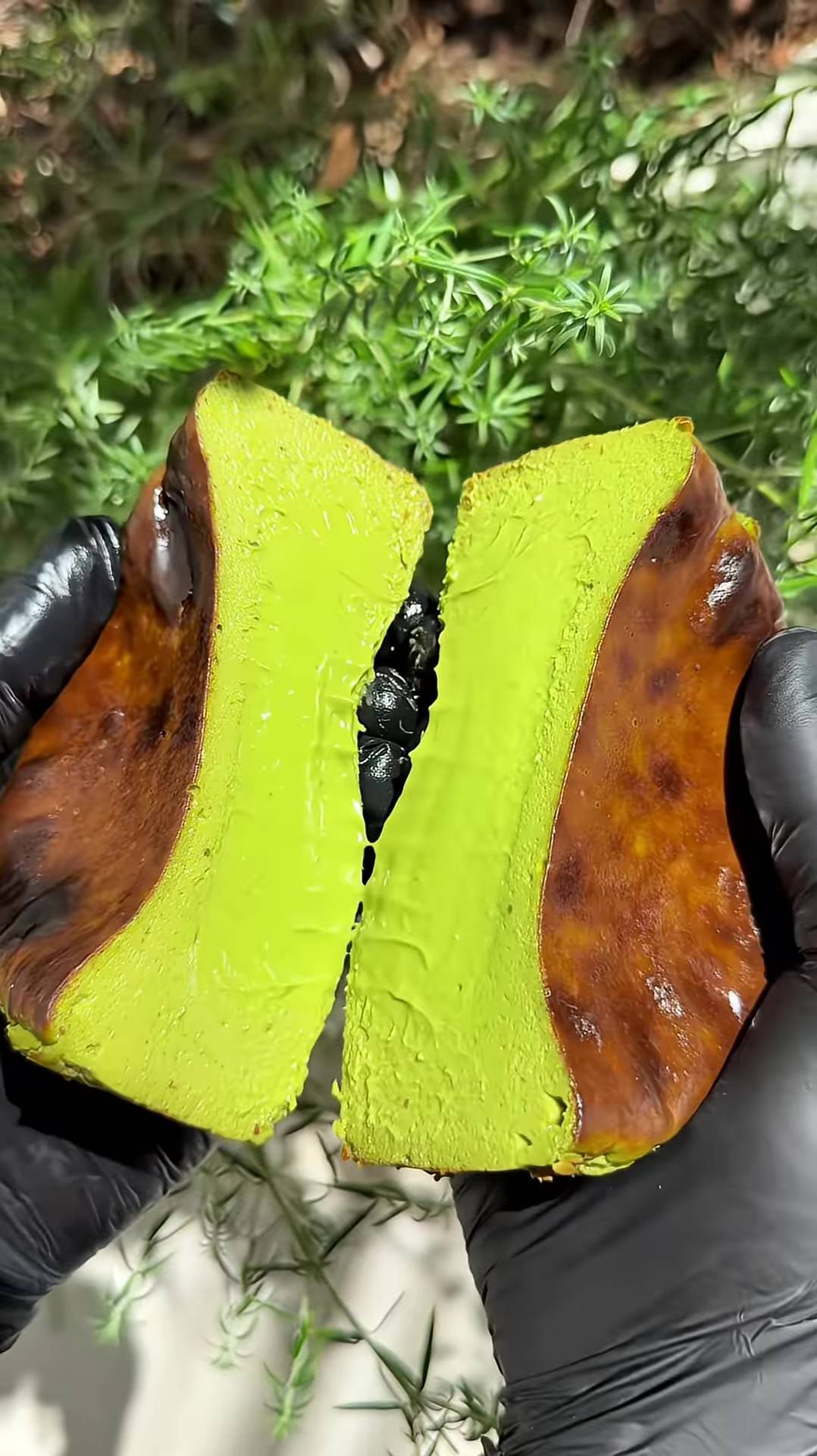 Баскский чизкейк Матча по-настоящему аутентичный