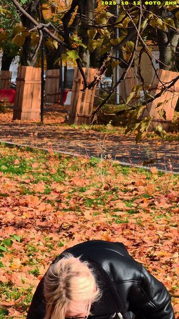 2025 10 12 ФОТО ДНЯ  4К.mp4