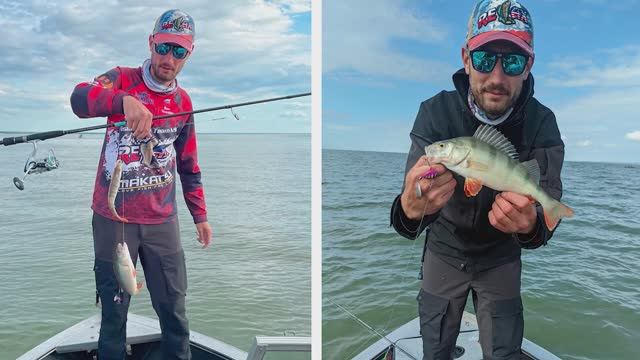 "НАРОДНЫЙ ПРОЕКТ СИБИРЬ"