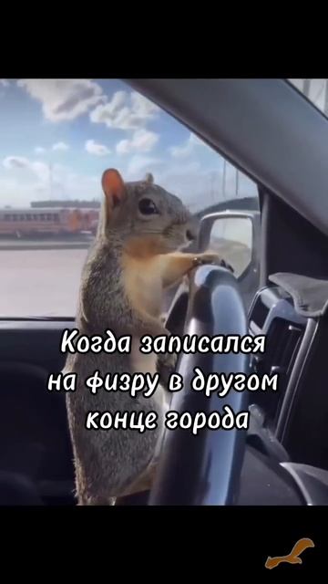 С ветерком на физру #shorts