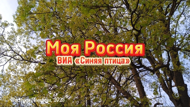 Моя Россия - ВИА "Синяя птица", вокал Сергей Левкин, бэк вокал Сергей Дроздов,раритетная запись 1986