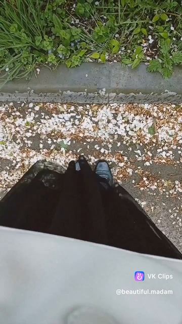 vkclips_20251014043053