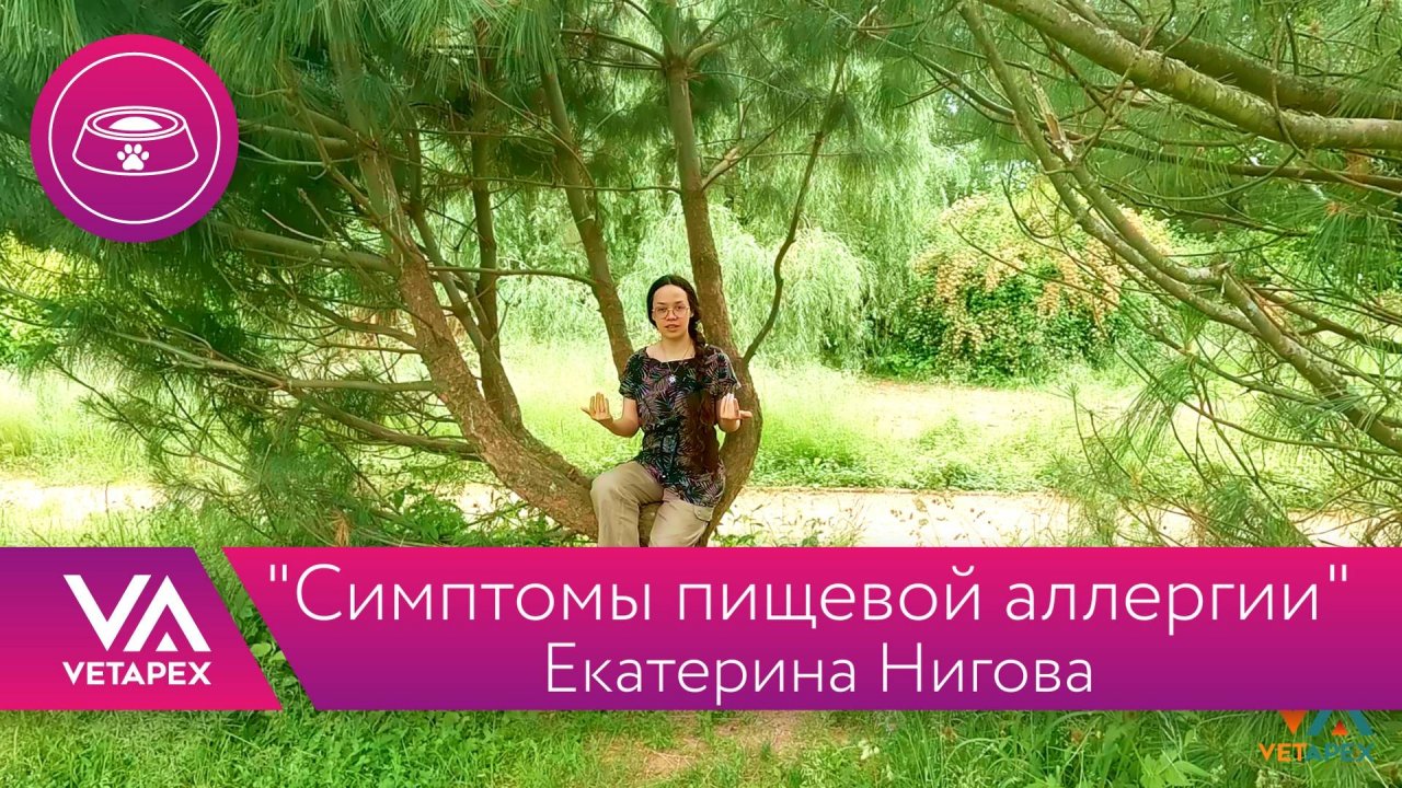 Кафедра Диетологии "Симптомы пищевой аллергии"