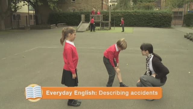 FF 4| Family and Friends 4 | Fluency4.dvd