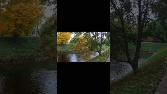 Кронверкский проток