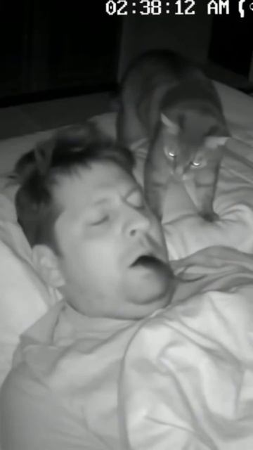 Обожаем котиков🤣🤣🤣