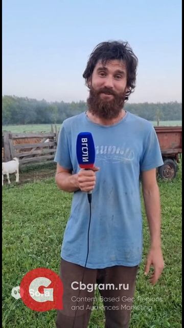 UTM-метки - мелочь, о которой все забивают