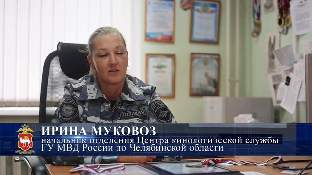 Полицейский-кинолог из Челябинска стала победителем в номинации на чемпионате МВД России