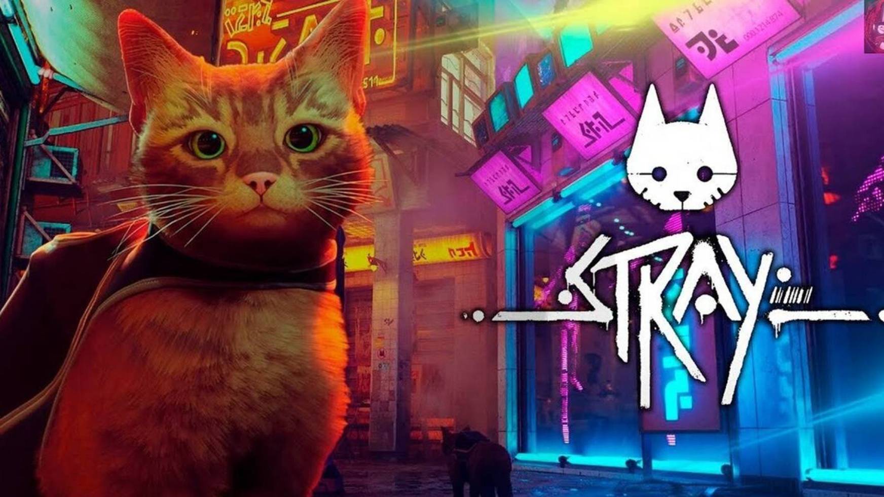 LeCHuZa_zZ мама Сова стримит. Прохождение STRAY, ЧАСТЬ_2