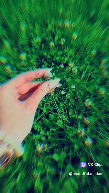 vkclips_20251014042942