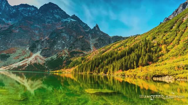 #Коран#АльАнам#СамыеКрасивыеМеста#Relaxation##Islam#Quran#AlAnam#Minshawiy #4кВидео#28часть#