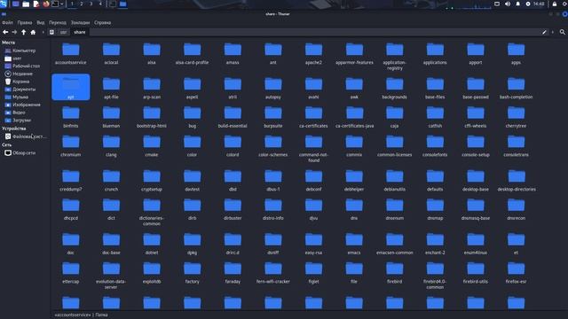Cловари паролей в kali linux.