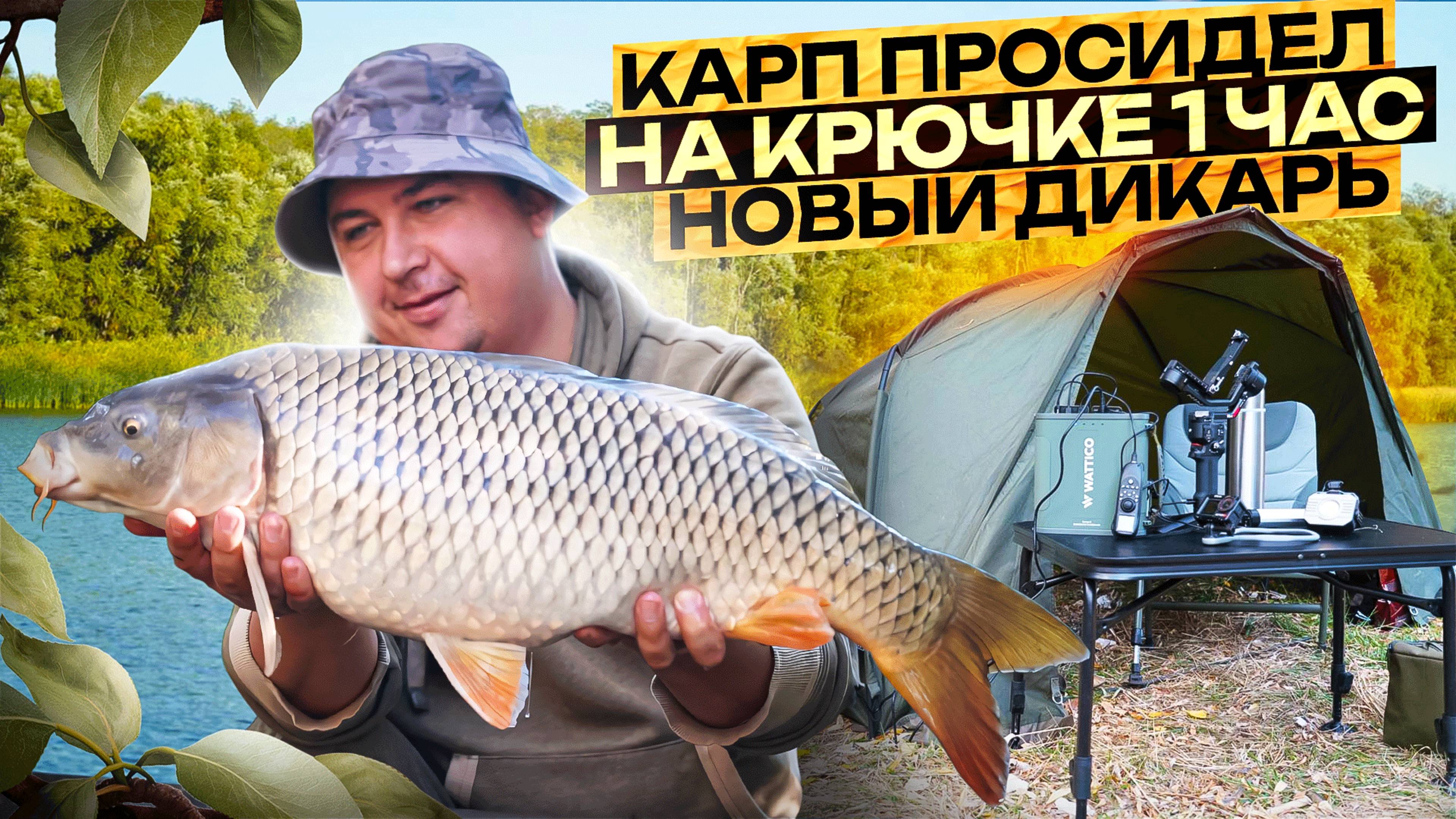 Чуть не проспал карпа! Рыбалка на новом дикаре по холодной воде. Осенний карпфишинг.