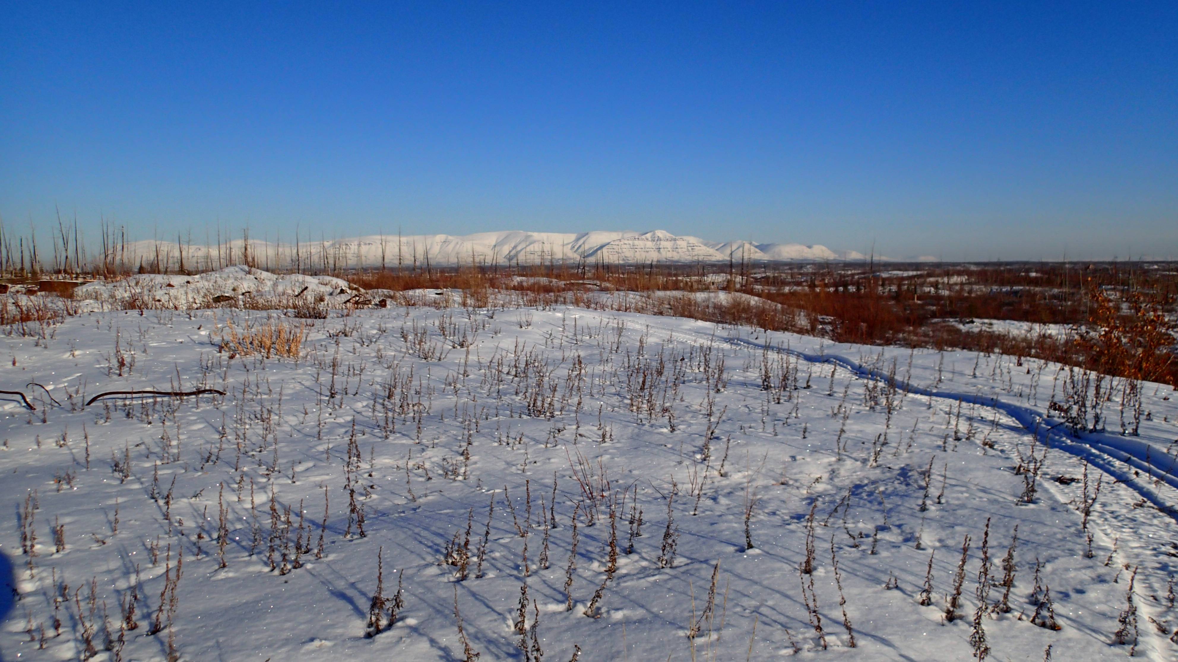 2025.10.10. Зимний загар в мороз без ветра. Лесотундра Норильска.