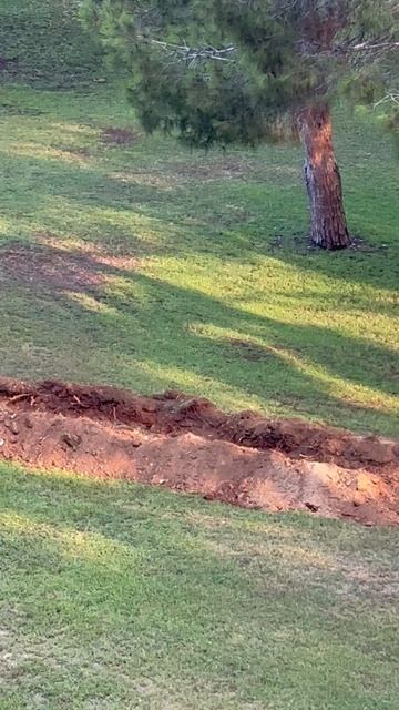 Crystal tat beach вид с балкона на лес