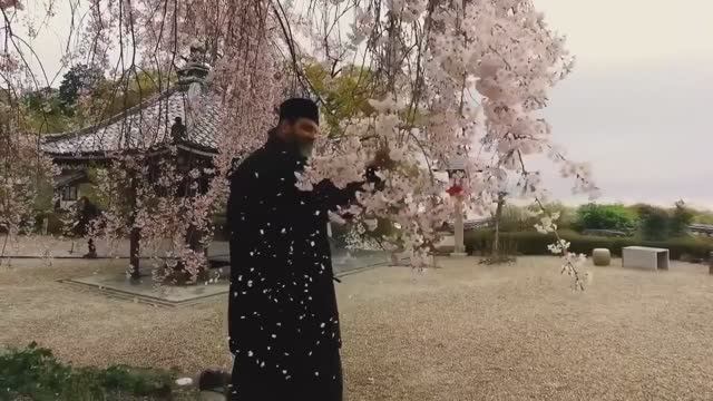 Вечный храм . о. Александр Старостенко