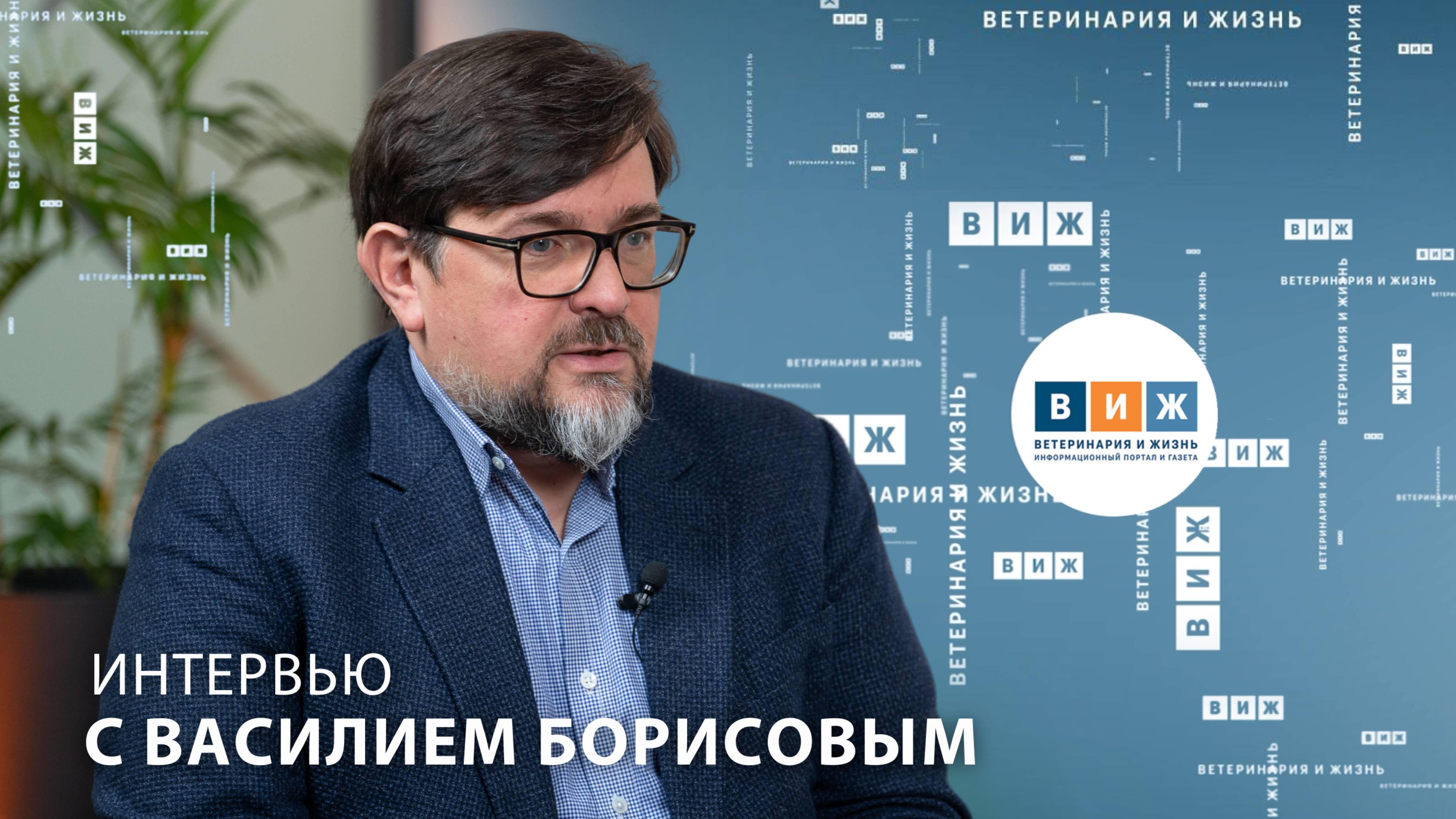 Отчего ежегодно в мире гибнет 300 тысяч китообразных, рассказал эксперт