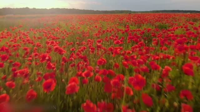 Иран 4K - Живописный фильм-релаксация с успокаивающей музыкой