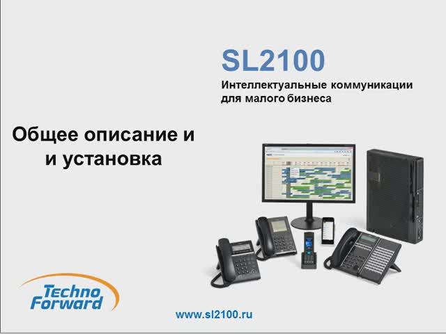 1 Общее Описание