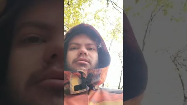 Мы идём гулять с собакой! | 14-окт-2025