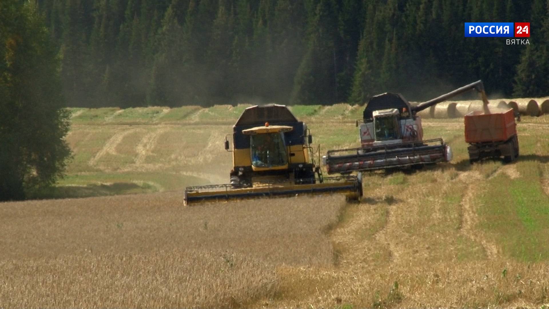 Губерния. СПК «Березниковский» (18.10.2025)
