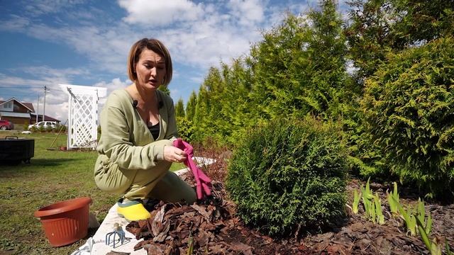 Сад мечты. Выпуск 17