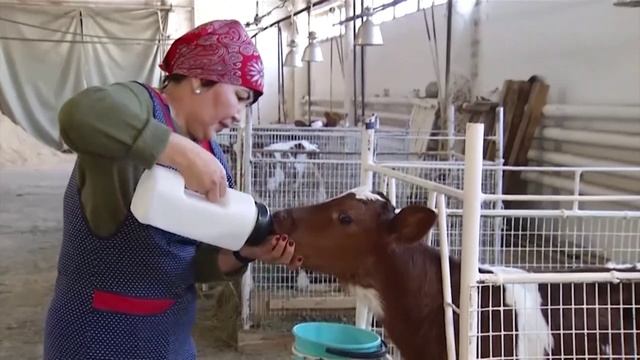 Работников сельского хозяйства поздравили с профессиональным праздником