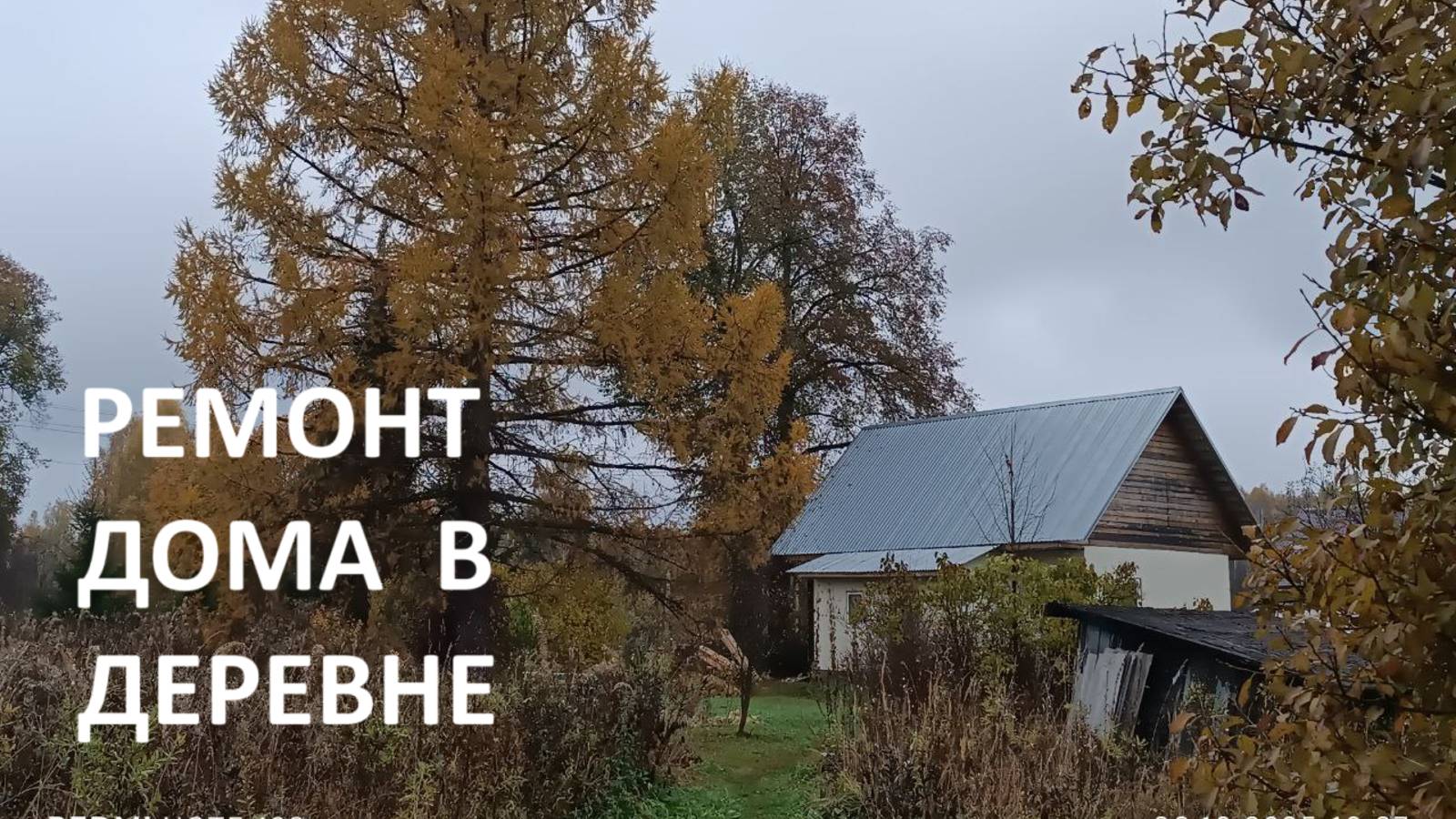 Ремонт дома в деревне : новый счетчик//октябрь и земляника// капуста и виноград.(Архив)