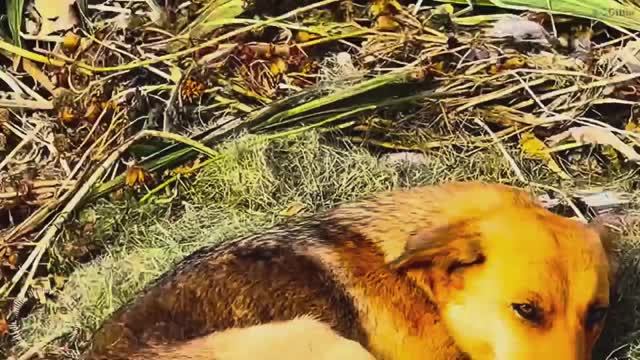 город КОСШЫ КАЗАХСТАН СЕГОДНЯ  2025.