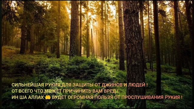 СИЛЬНЕЙШАЯ РУКИЯ ДЛЯ ЗАЩИТЫ ОТ ДЖИНОВ И ЛЮДЕЙ ! ОТ ВСЕГО ЧТО МОЖЕТ ПРИЧИНИТЬ ВАМ ВРЕД ! ИН ША АЛЛАХ
