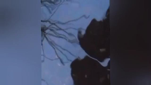 МОИ СТИХИ#ОСЕНЬ ДУШИ.АВТОР ЕЛЕНА СКРЯБИНА. написаны 3.09.10#публ.16,10,25. АВТОРСКИЕ ПРАВА ЗАЩИЩЕНЫ