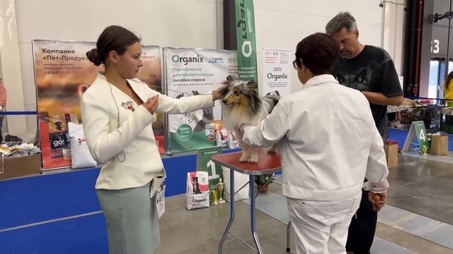 XXVIII НВШ-01.09.2024-Санкт-Петербург, судья Рубинштейн( "Бьюти Эйбл"). Часть3. Суки