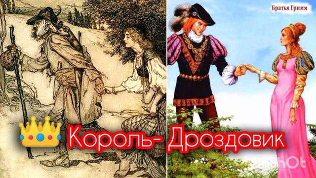 КОРОЛЬ ДРОЗДОВИК 👑