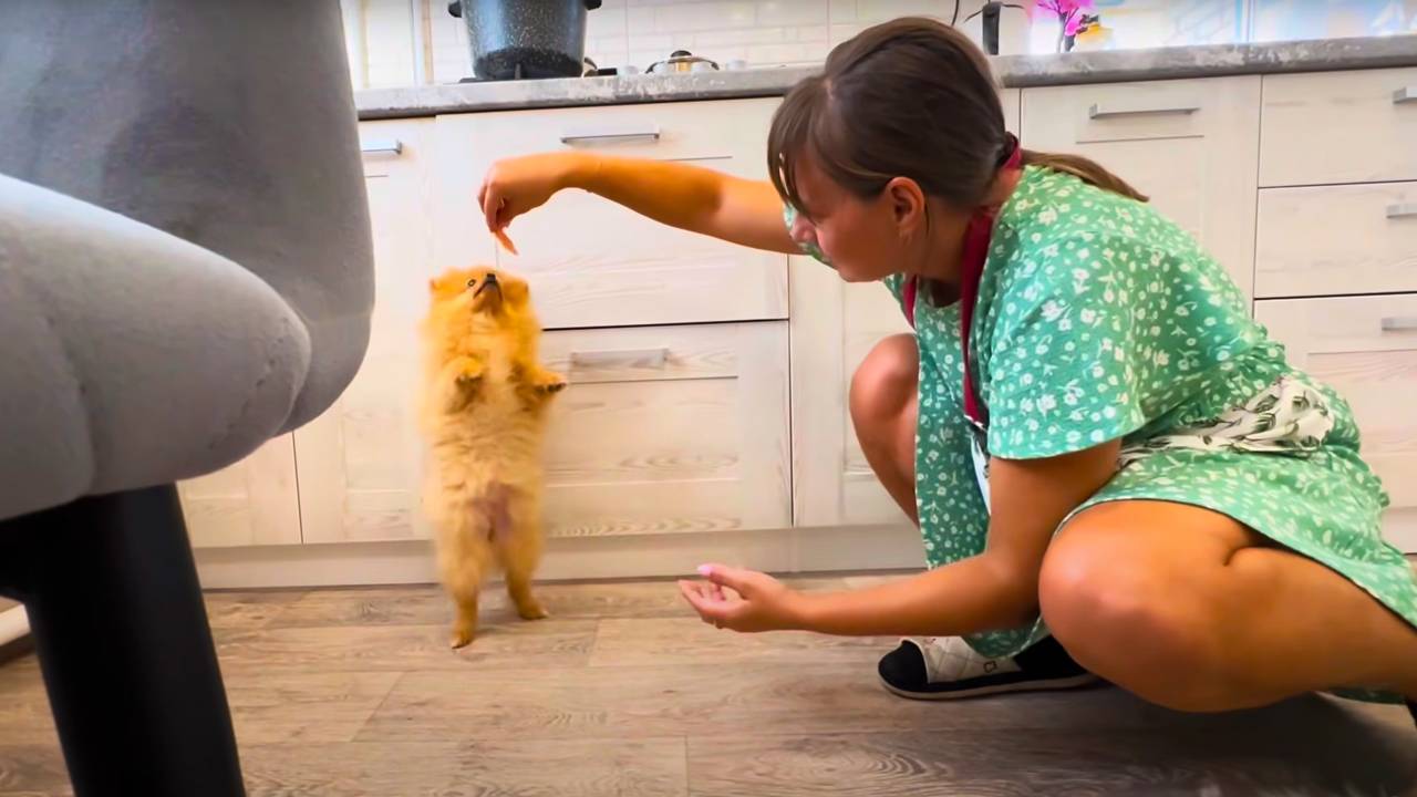 СТАРЫЕ ФОРМЫ ЛУЧШЕ НОВЫХ. ДОМАШНИЙ ХЛЕБ И ВКУСНЫЙ УЖИН. ИЗ ГОРОДА В ДЕРЕВНЮ ПЕРЕЗАГРУЗКА.